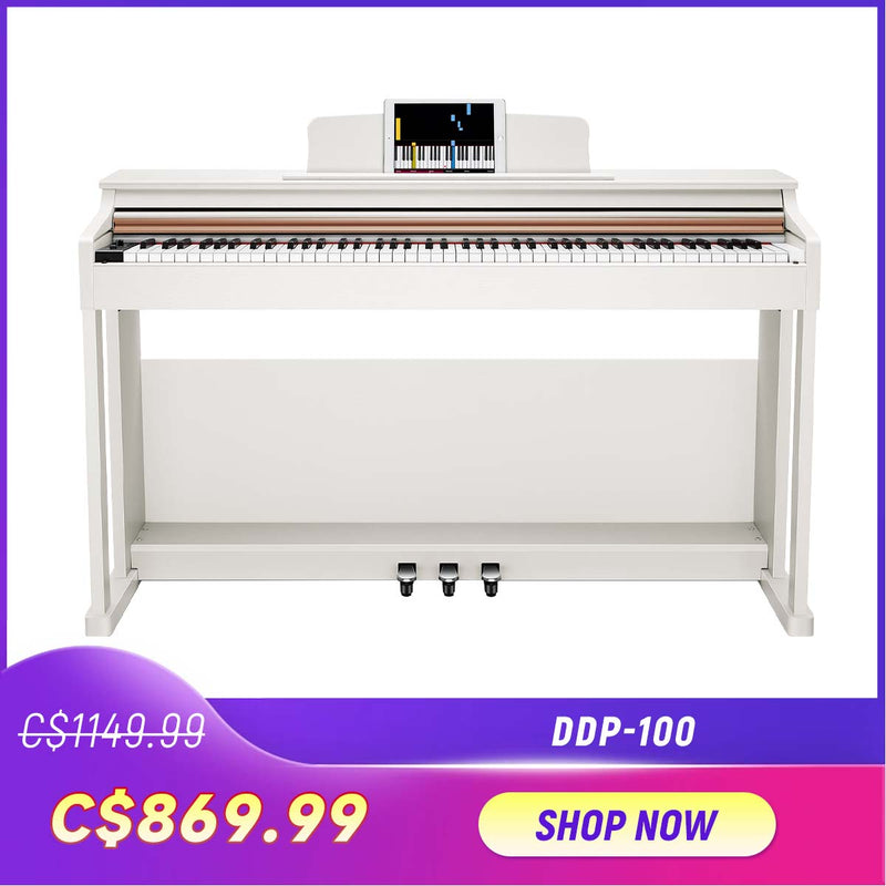 Donner DDP-100 88-Key Weighted Hammer Action Upright Digital Piano for ...